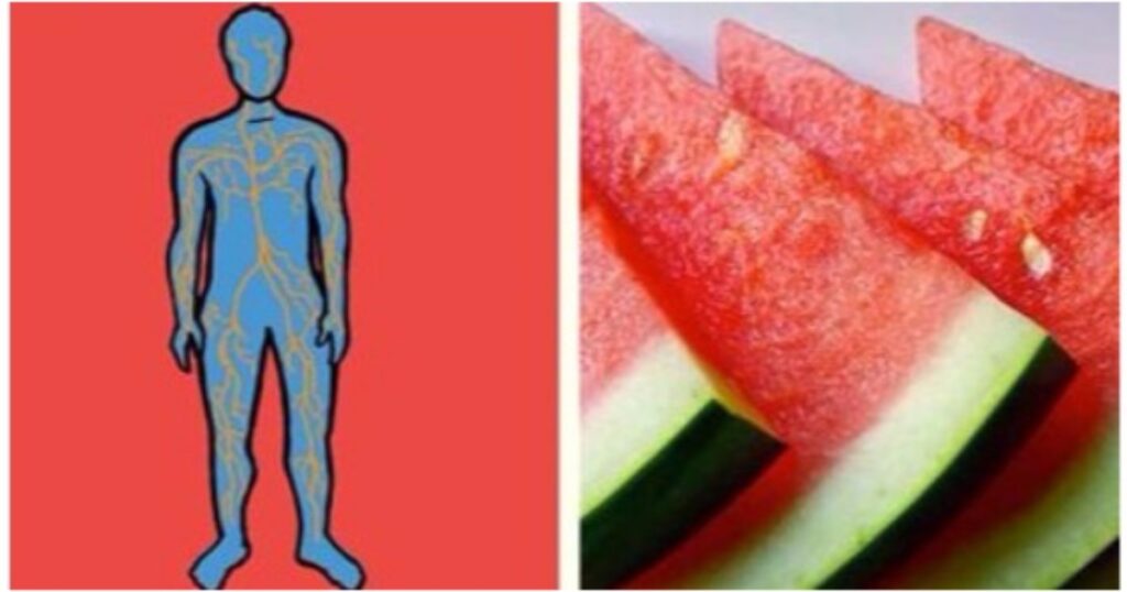 Cuda zdrowotne codziennego jedzenia plasterek arbuza – oto, co musisz ...